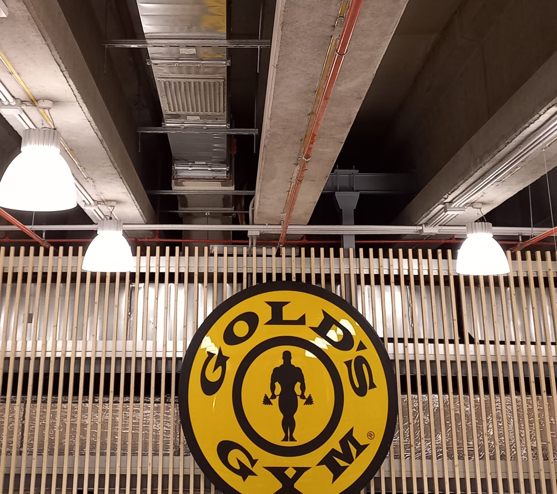 Gold s gym